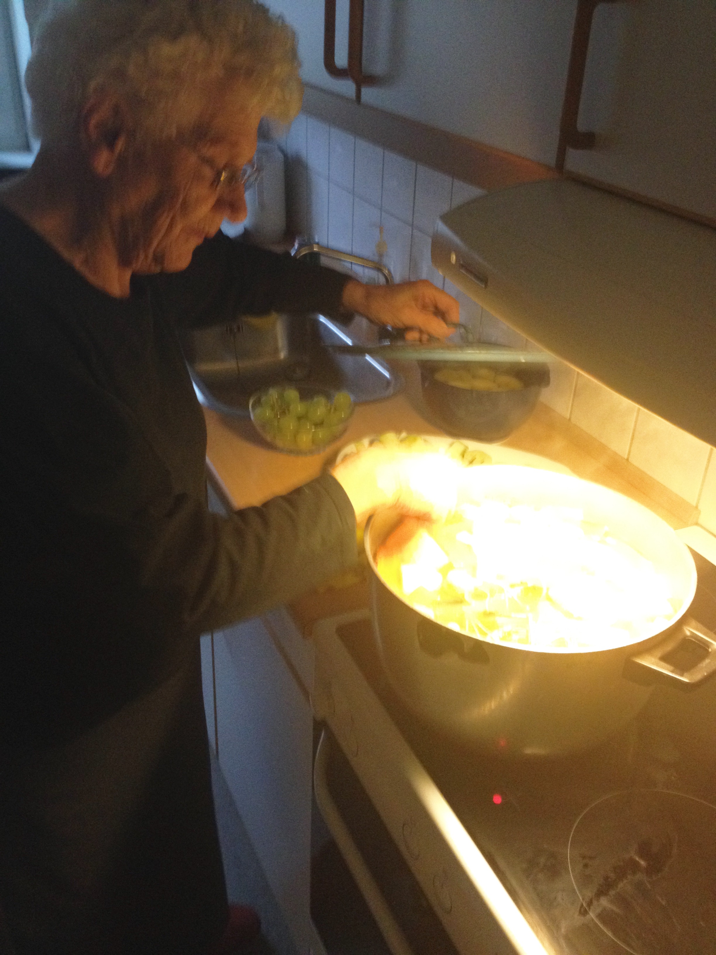 Hvor fa'en blev mormors mad af? | En Stemme i Provinsen